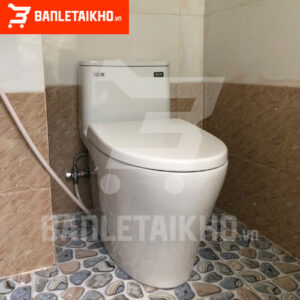 Bồn Cầu INAX AC-989VN (AC989VN) 1 Khối Aqua Ceramic